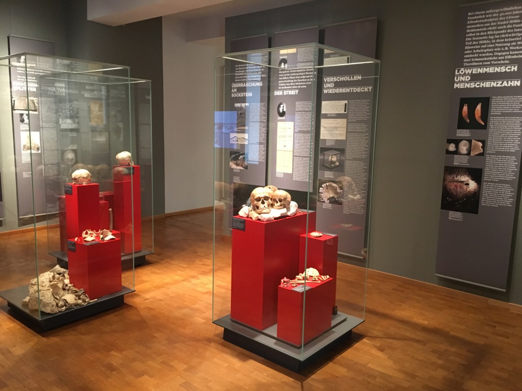 Ausstellungsansicht Im Tal der Löwenmenschen Museum Ulm - Freunde des ...